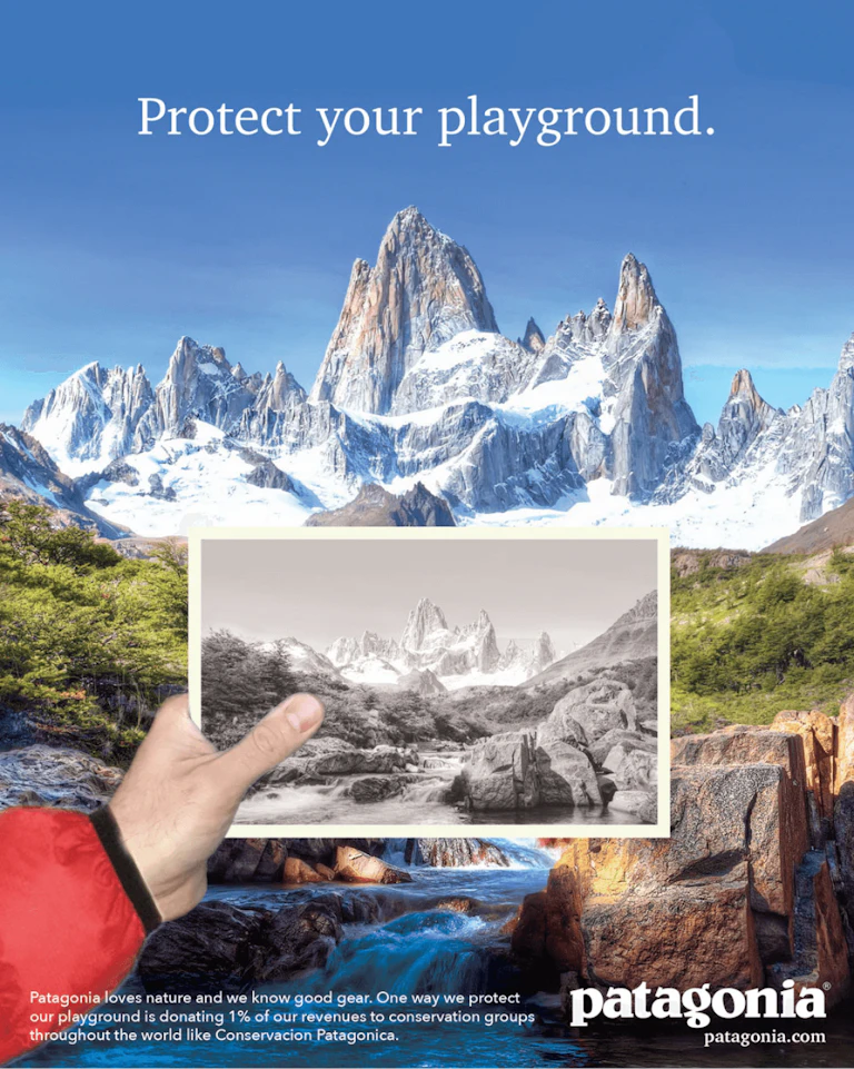 Patagonia: A Purpose-Driven Brand Built on Action.